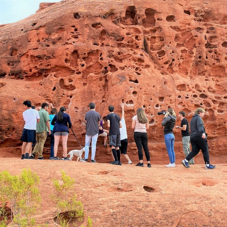 Explore NeuroDev - NeuroDev